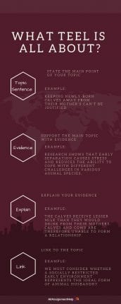 What is TEEL | How to write a TEEL Structure | Benefits of TEEL