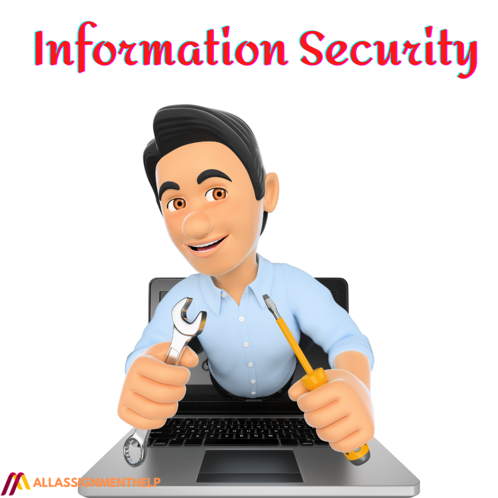 Information Security- Information, infographics, Types and use.