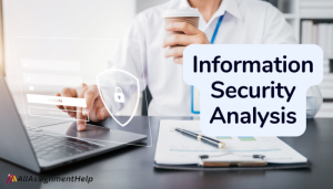 Information Security Analysis – AllAssignmentHelp.com