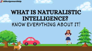What is Naturalistic Intelligence? Know everything about it!