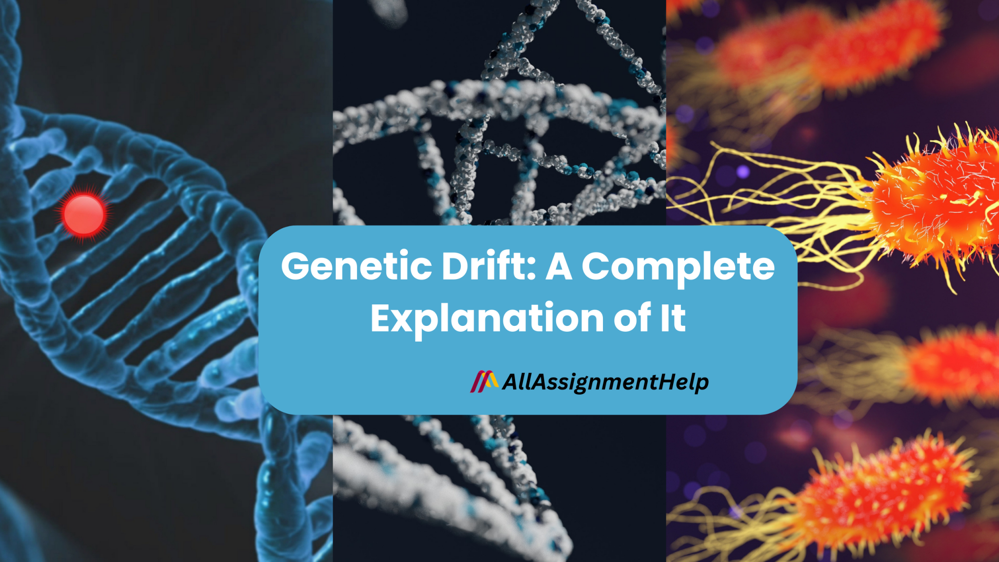 Genetic Drift: A Complete Explanation of It