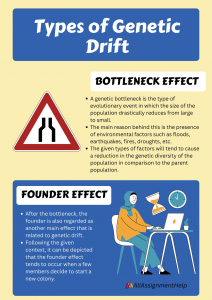 Genetic Drift: A Complete Explanation of It