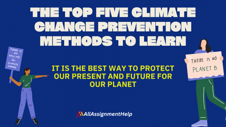 Climate Change: Risks and Prevention Methods to Learn