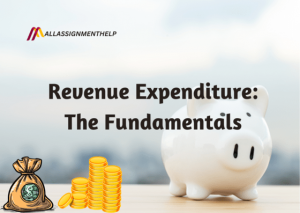 The Fundamentals of Revenue Expenditure