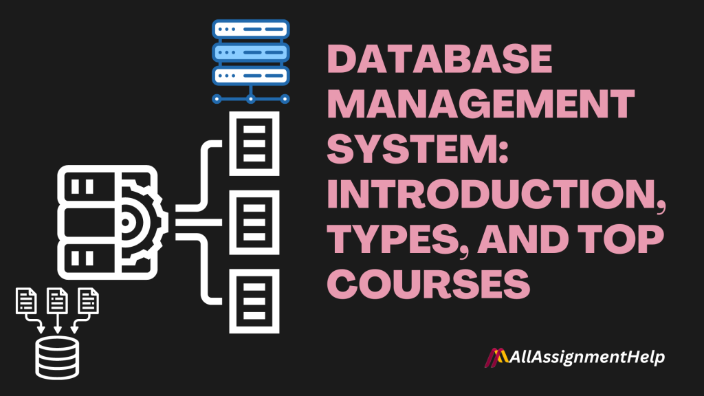 An Introduction to the Database Management System