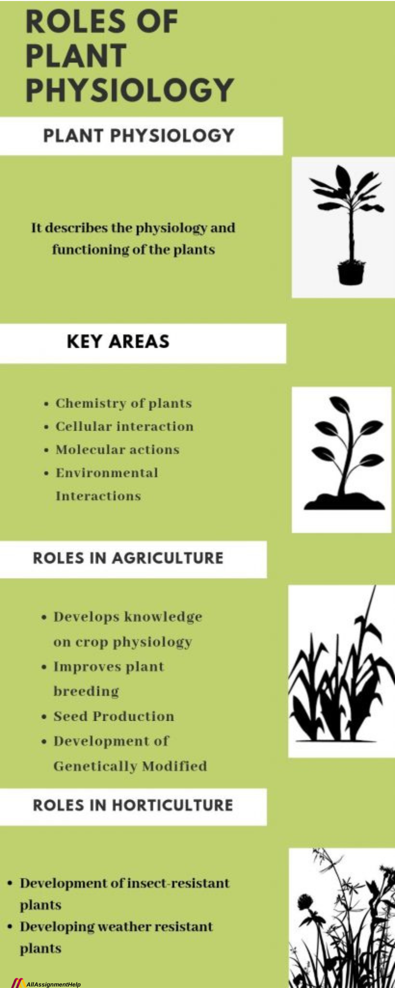 Plant Physiology: Its Role and Explanation